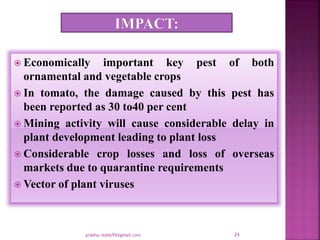 Invasive and alien insect pests impact in india | PPTX