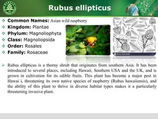 Invasive biology | PPT