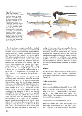 Invasive fish in Cyprus, by I Dive Cyprus | PDF