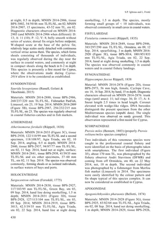 Invasive fish in Cyprus, by I Dive Cyprus | PDF