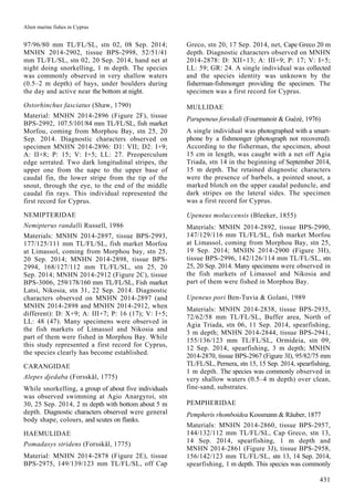 Invasive fish in Cyprus, by I Dive Cyprus | PDF