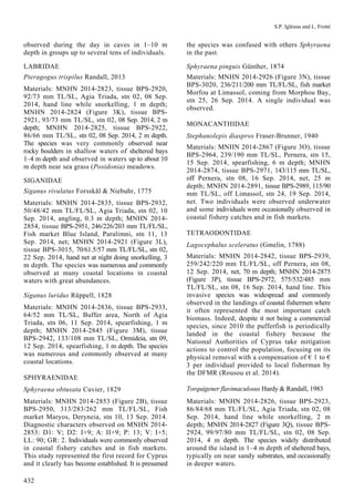 Invasive fish in Cyprus, by I Dive Cyprus | PDF