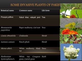 Invasive flora of pakistan | PPTX