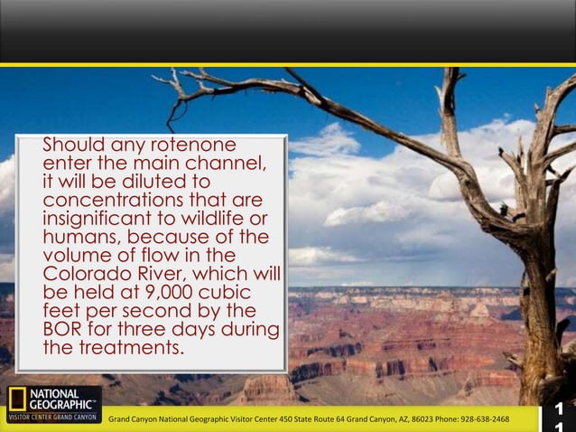 Invasive Green Sunfish to be Removed from Backwater Slough In Colorado ...