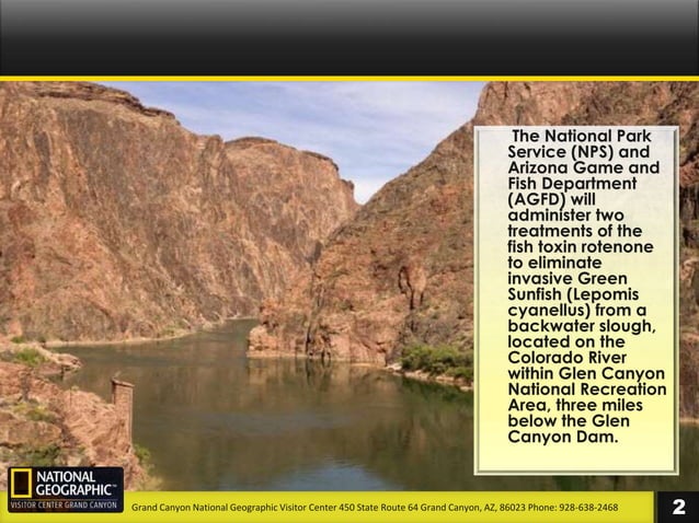 Invasive Green Sunfish to be Removed from Backwater Slough In Colorado ...