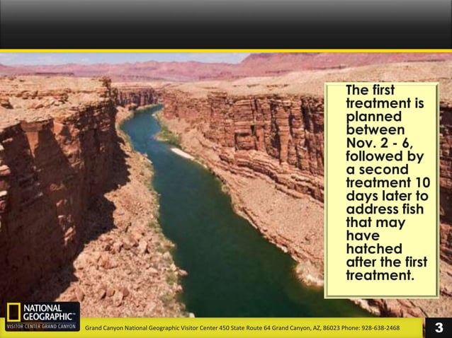 Invasive Green Sunfish to be Removed from Backwater Slough In Colorado ...