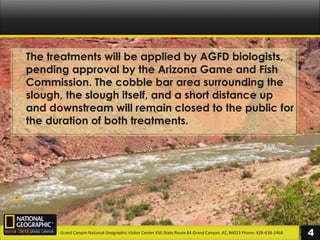 Invasive Green Sunfish to be Removed from Backwater Slough In Colorado ...