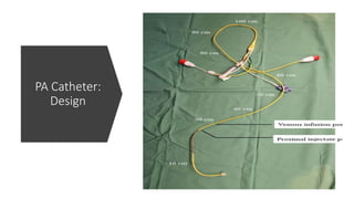 Maximally Invasive Hemodynamic Monitoring | PPT