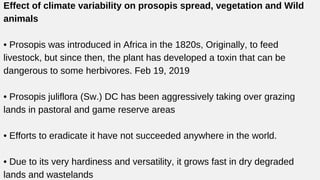 Invasive impact of prosopis juliflora on wildlife conservation and ...