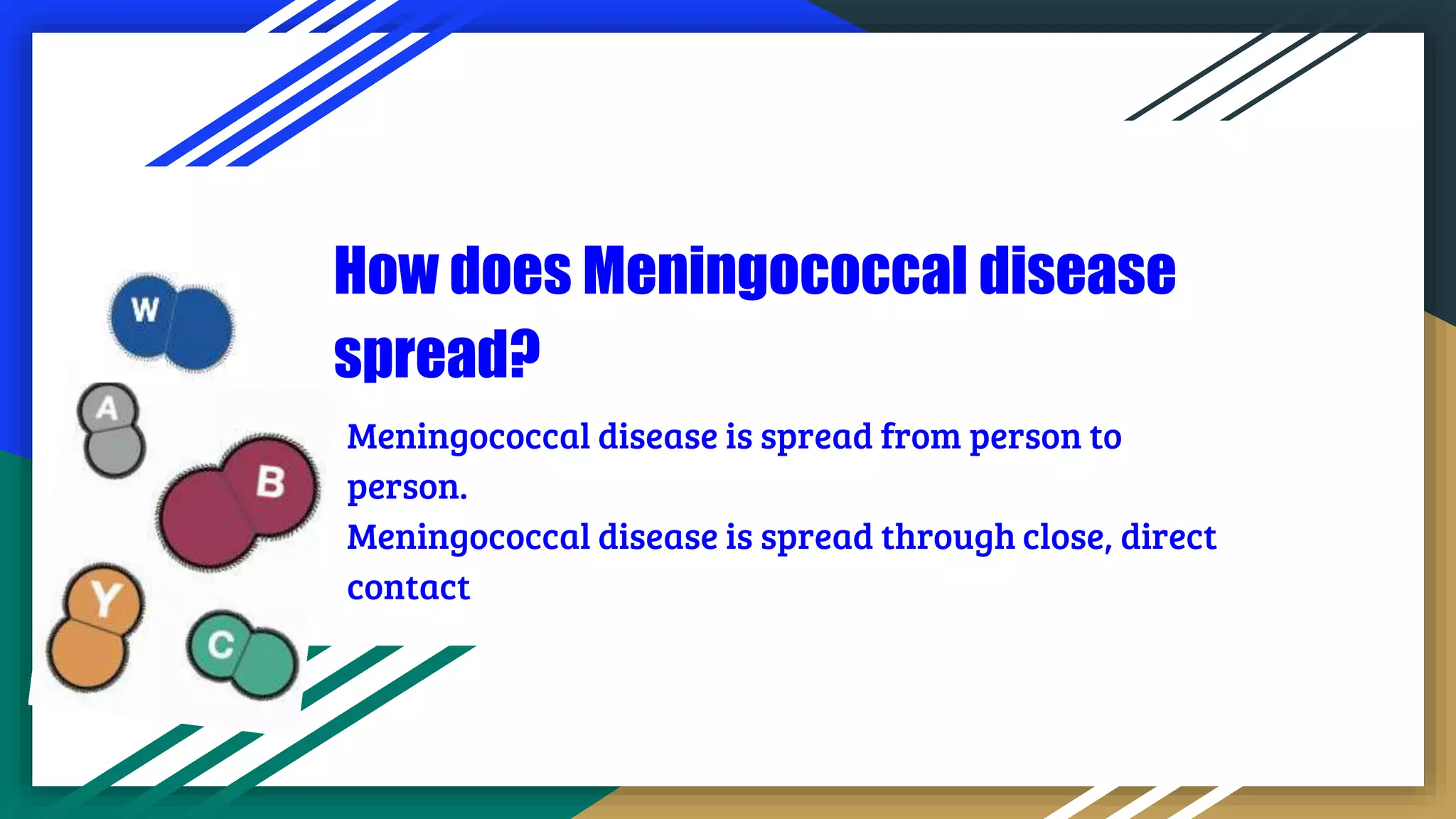 Invasive meningococcal disease in MSM | PPTX | Infectious Diseases ...