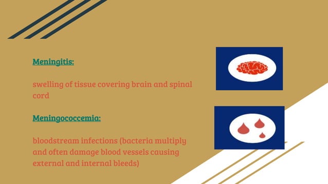 Invasive meningococcal disease in MSM | PPTX | Infectious Diseases ...