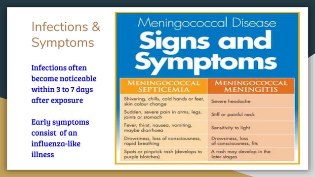 Invasive meningococcal disease in MSM | PPTX | Infectious Diseases ...