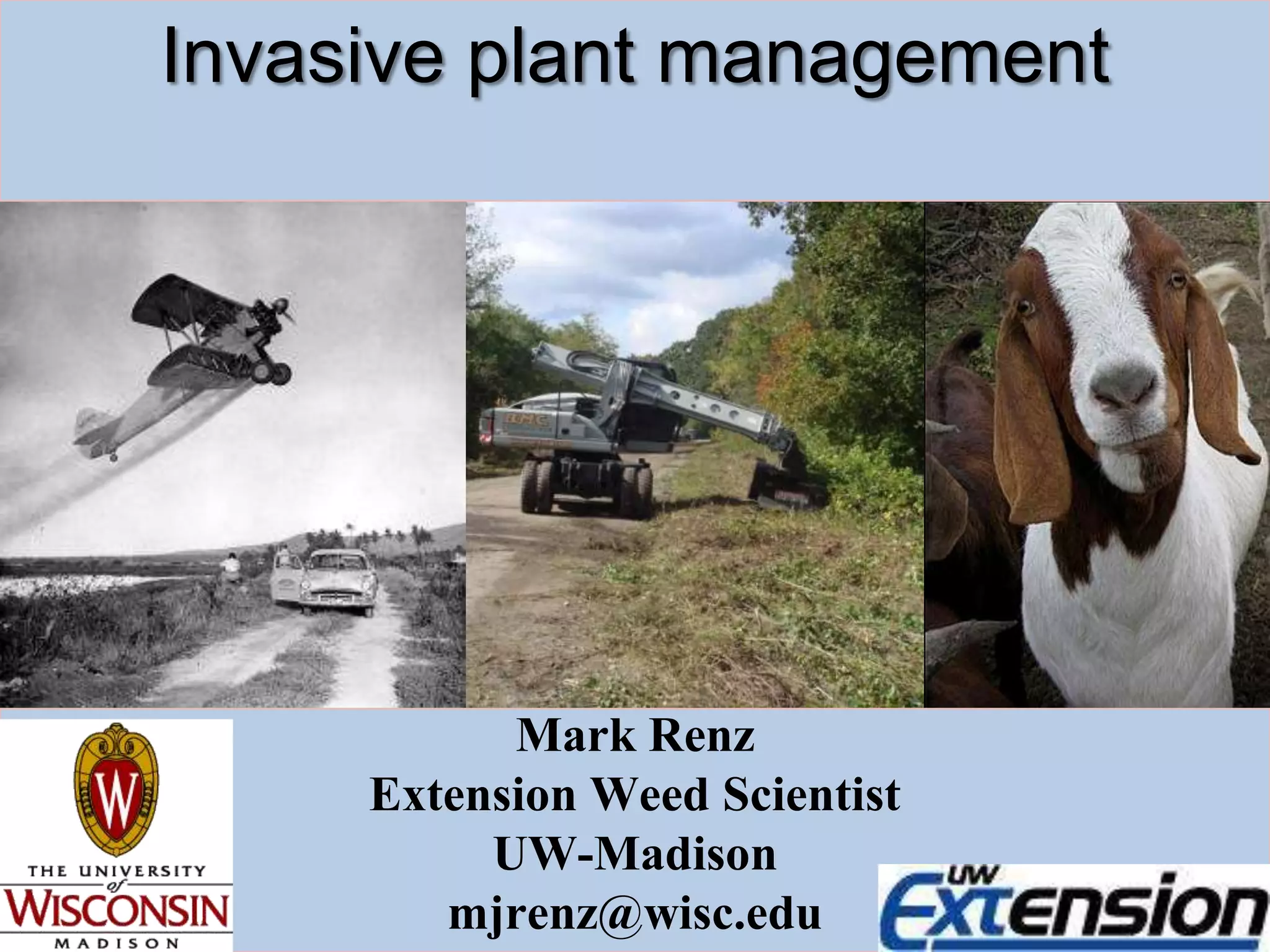 Invasive plant management milton | PPTX