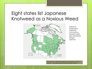 Invasive plant species | PPTX | Gardening | Home & Garden