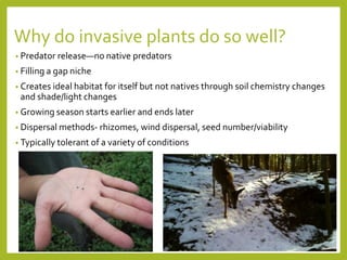 Invasives Management-Big Picture-MCD.pptx