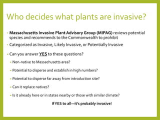Invasives Management-Big Picture-MCD.pdf