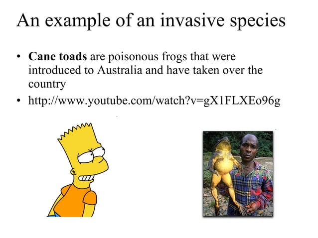 Invasive Species | PPT