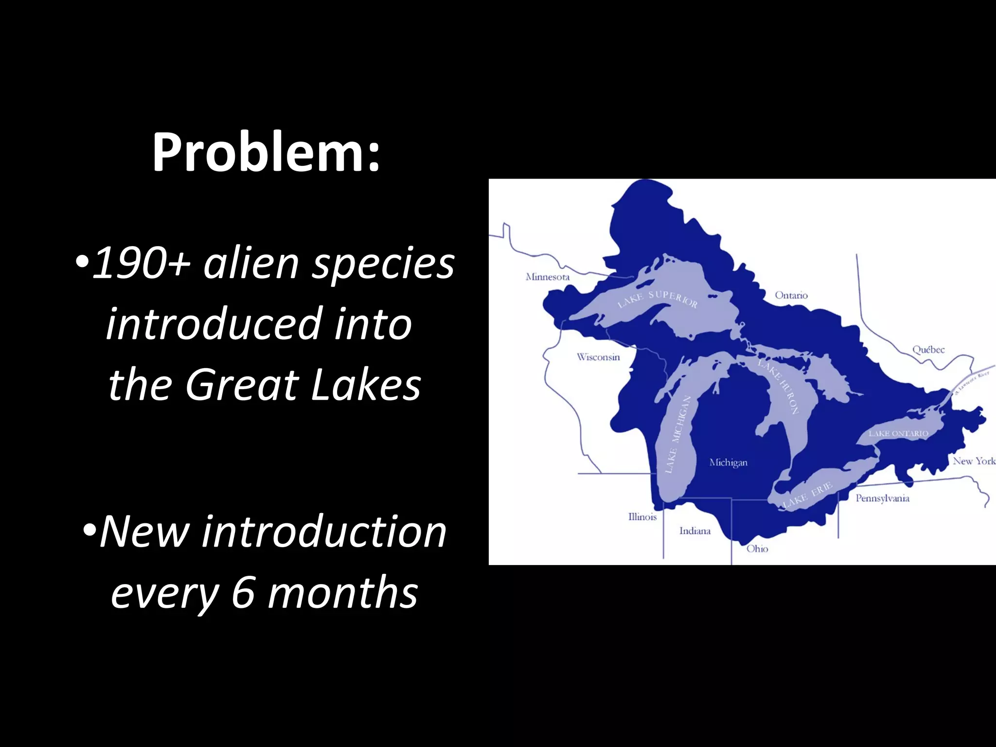 Invasive species | PPT
