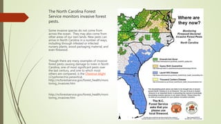Invasive species in North Carolina | PPT