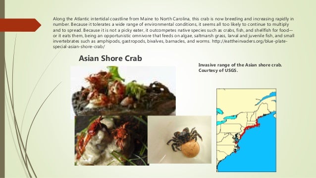 Invasive species in North Carolina