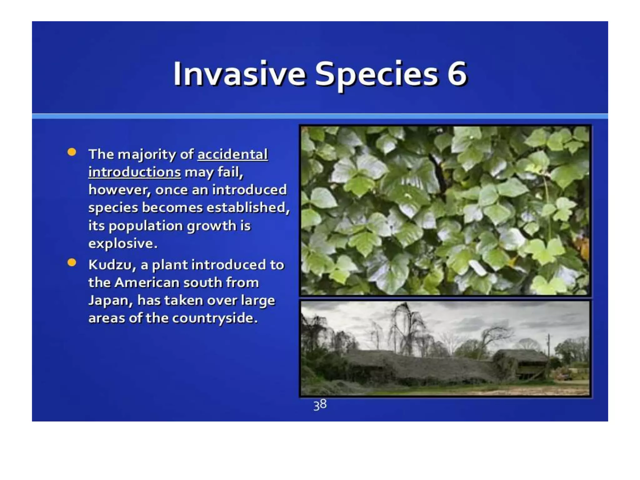 Invasive species A Lecture By Mr Allah Dad Khan Visiting Professor the ...