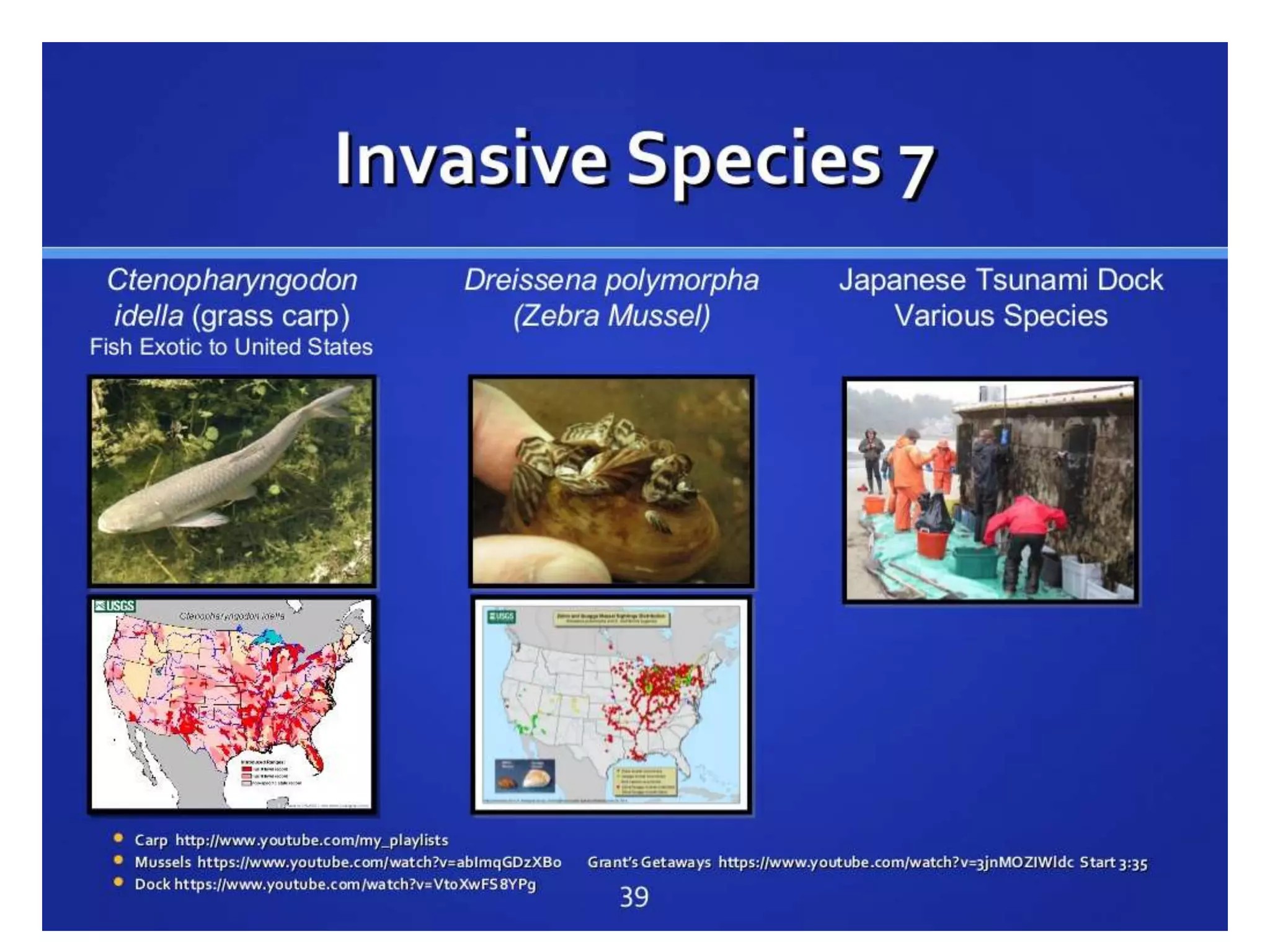Invasive species A Lecture By Mr Allah Dad Khan Visiting Professor the ...