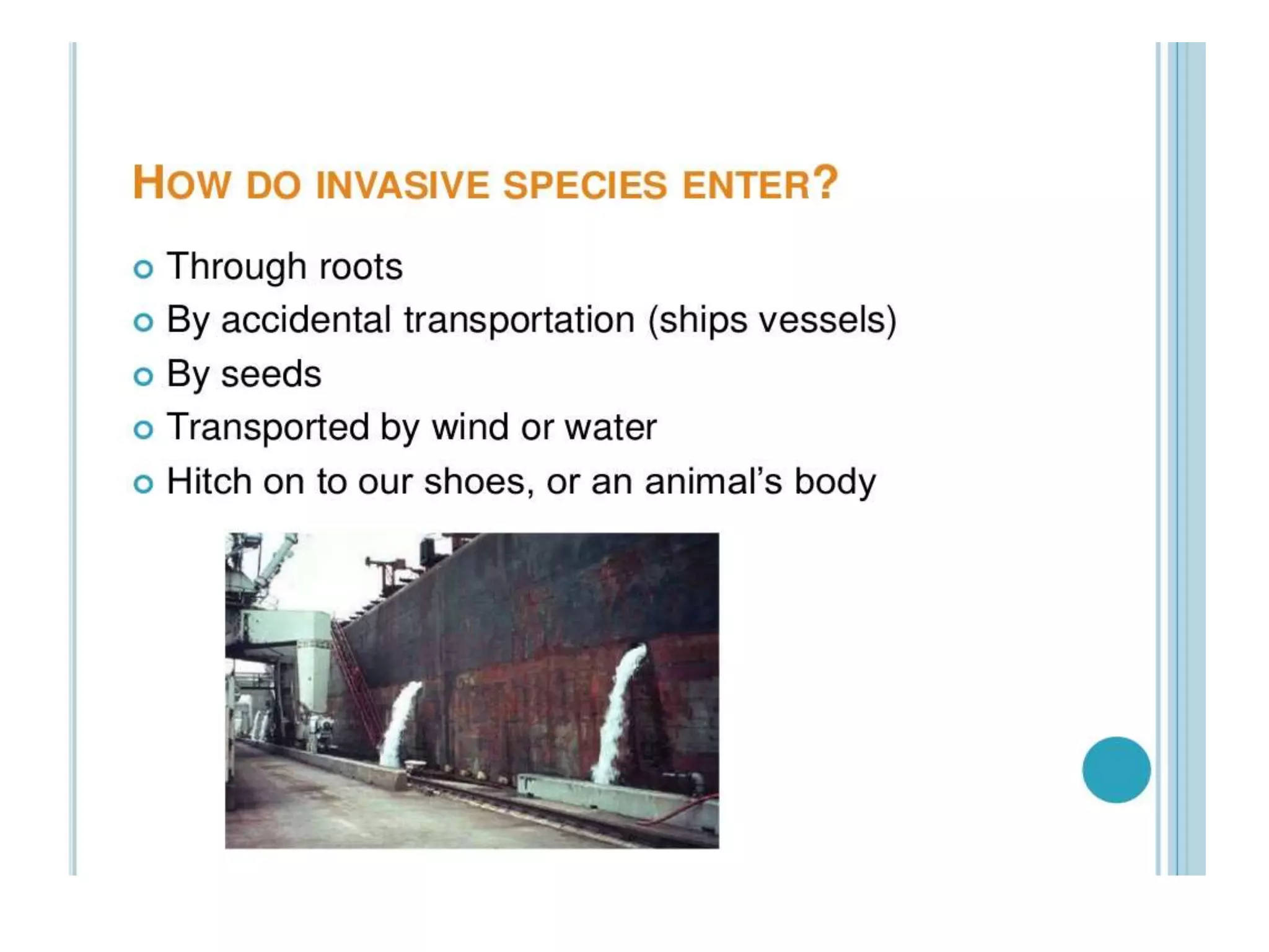 Invasive species A Lecture By Mr Allah Dad Khan Visiting Professor the ...