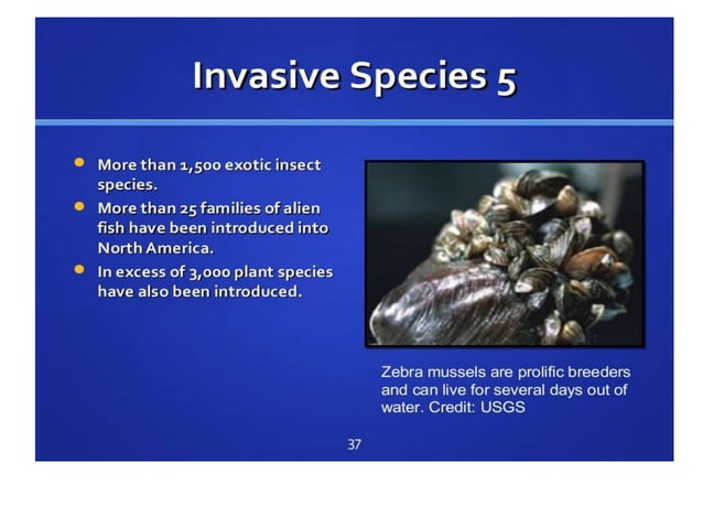 Invasive species A Lecture By Mr Allah Dad Khan Visiting Professor the ...
