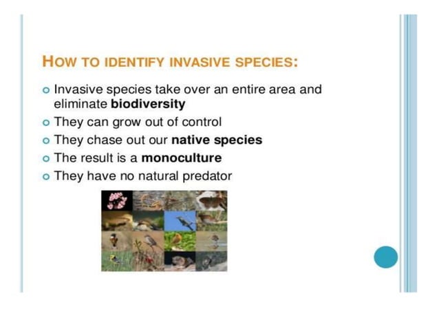 Invasive species A Lecture By Mr Allah Dad Khan Visiting Professor the ...