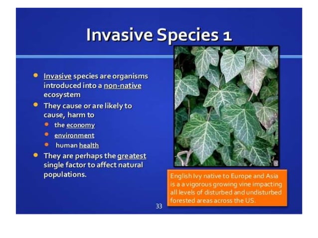 Invasive species A Lecture By Mr Allah Dad Khan Visiting Professor the ...