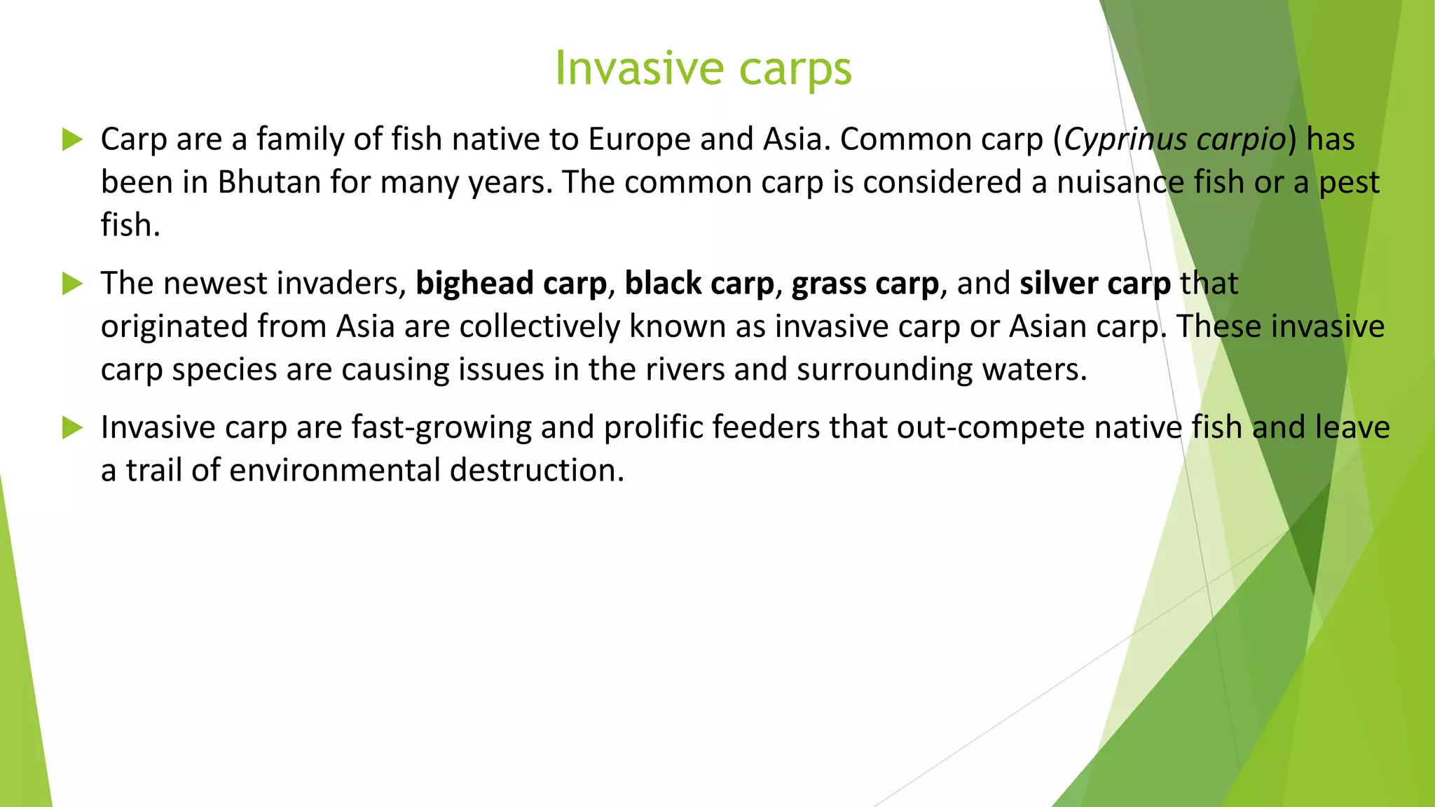 Invasive Species.pptx