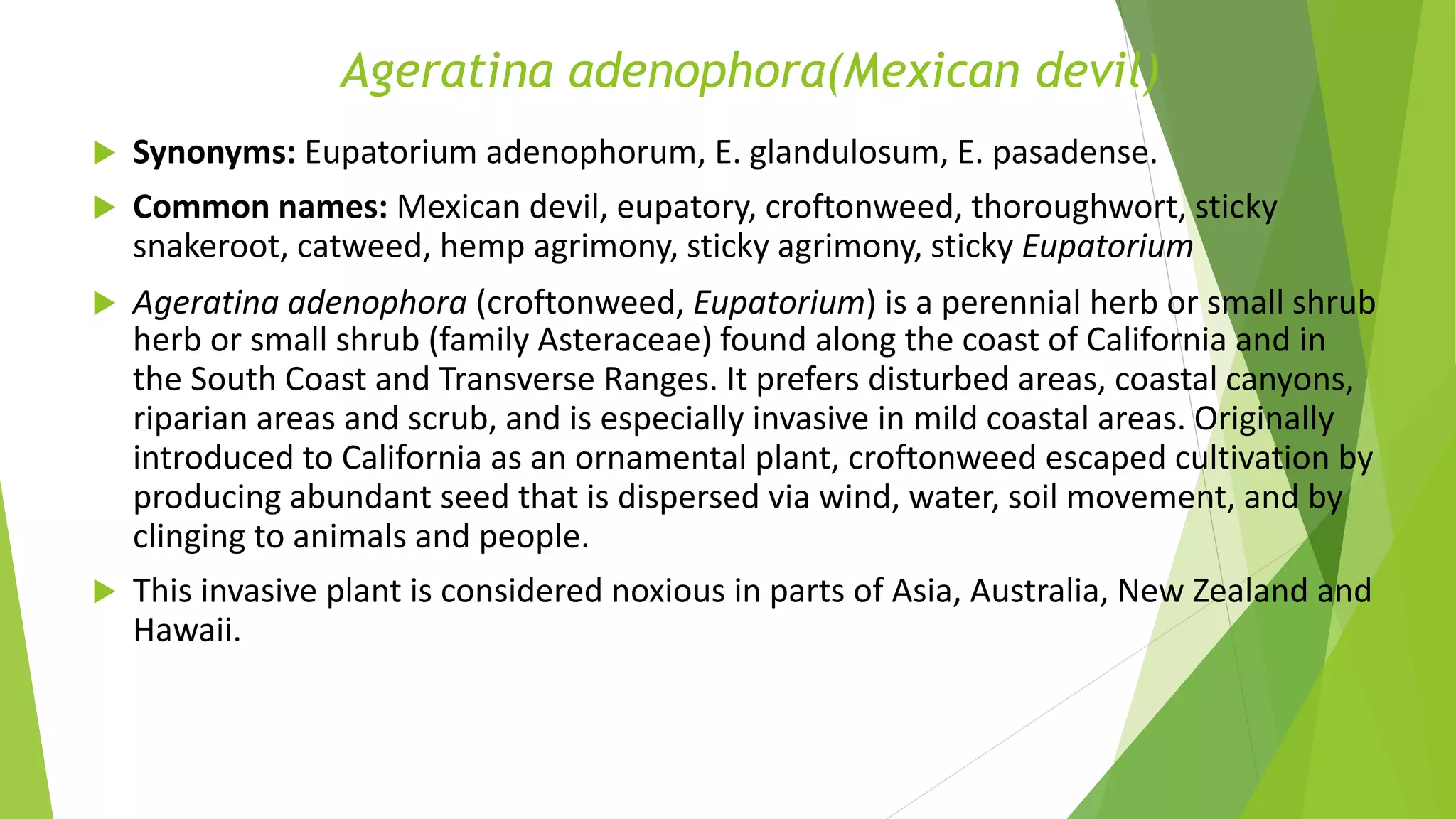 Invasive Species.pptx