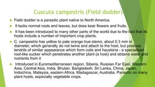 Invasive Species.pptx