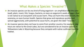 Invasive Species.pptx