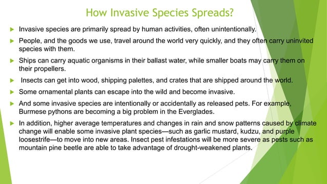 Invasive Species.pptx