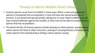 Invasive Species.pptx
