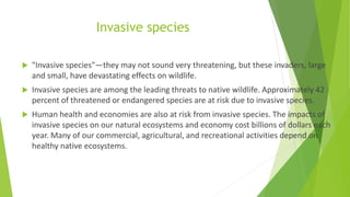 Invasive Species.pptx