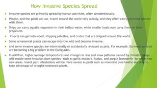 Invasive Species.pptx