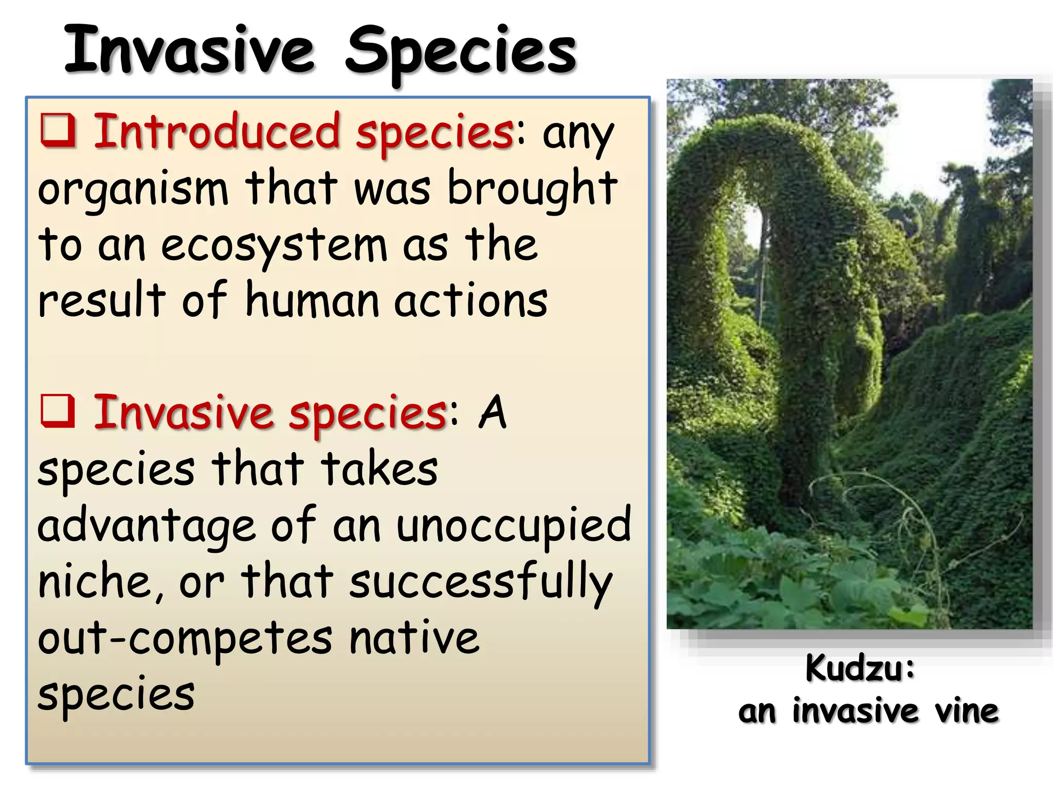 Invasive Species.ppsx
