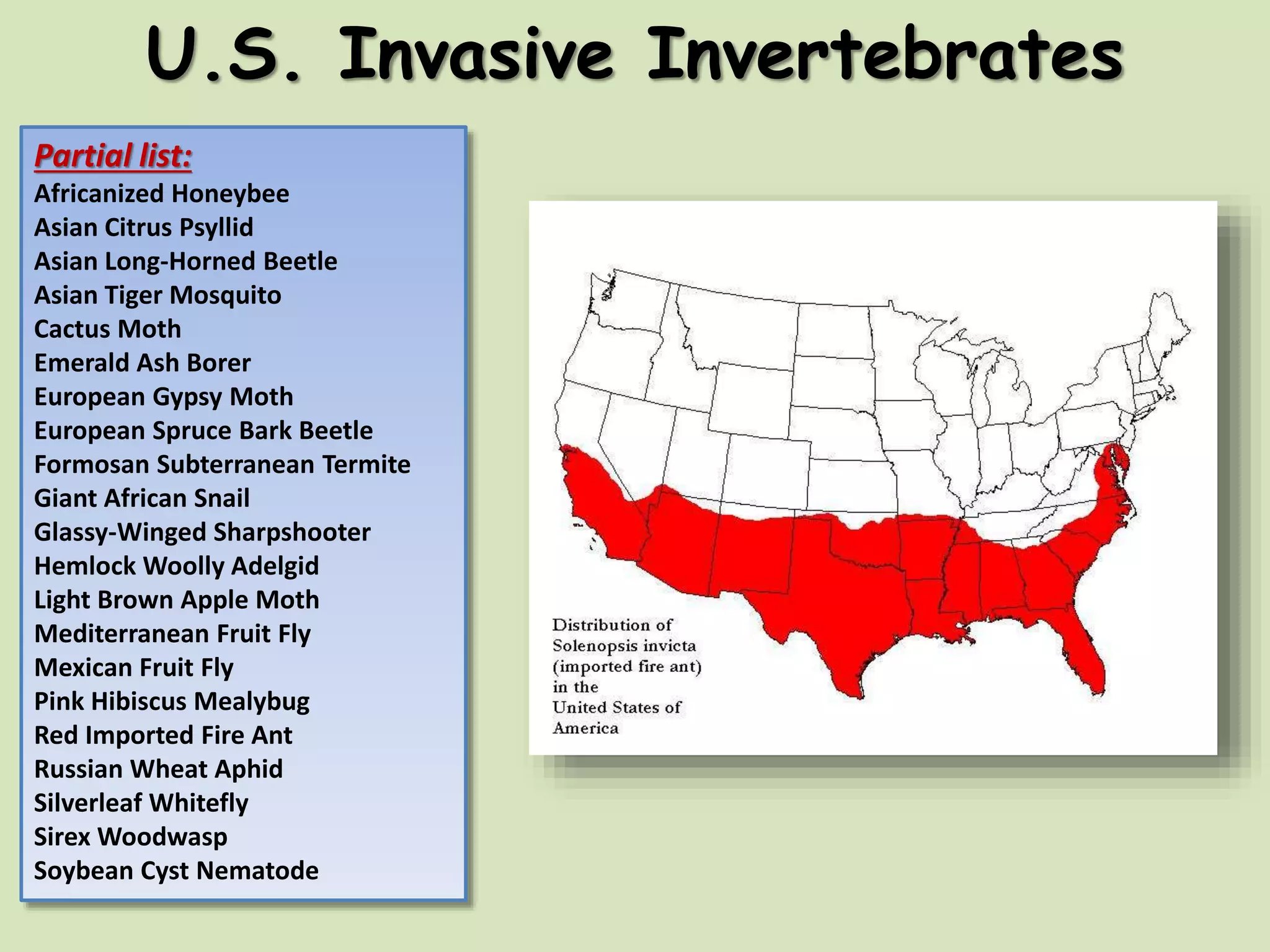 Invasive Species.ppsx