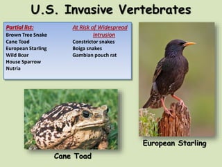 Invasive Species.ppsx