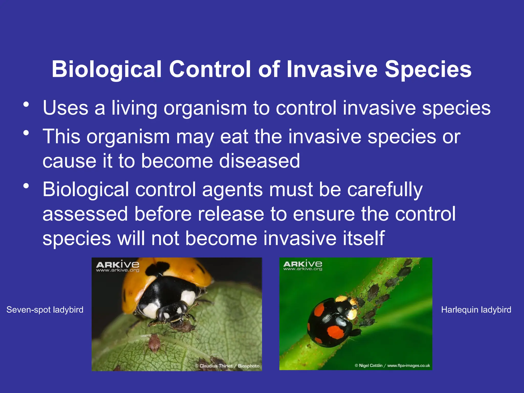 Invasive Species biology lower secondary.pptx