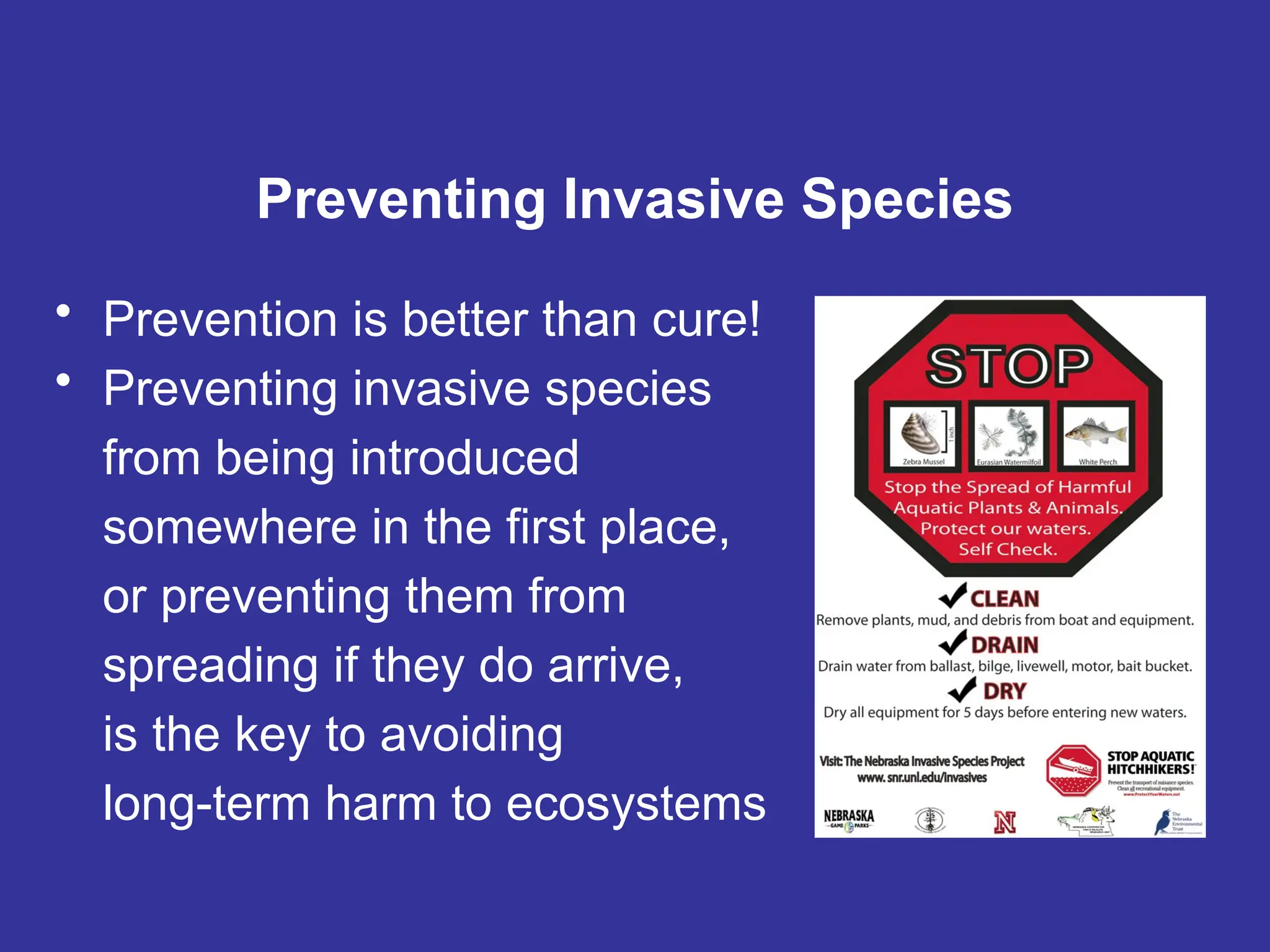 Invasive Species biology lower secondary.pptx