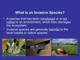 Invasive Species biology lower secondary.pptx