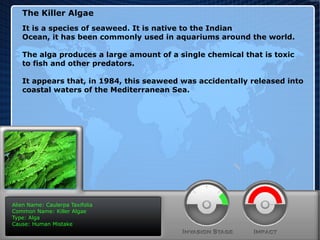 Invasive species | ODP | Beekeeping | Hobbies & Interests