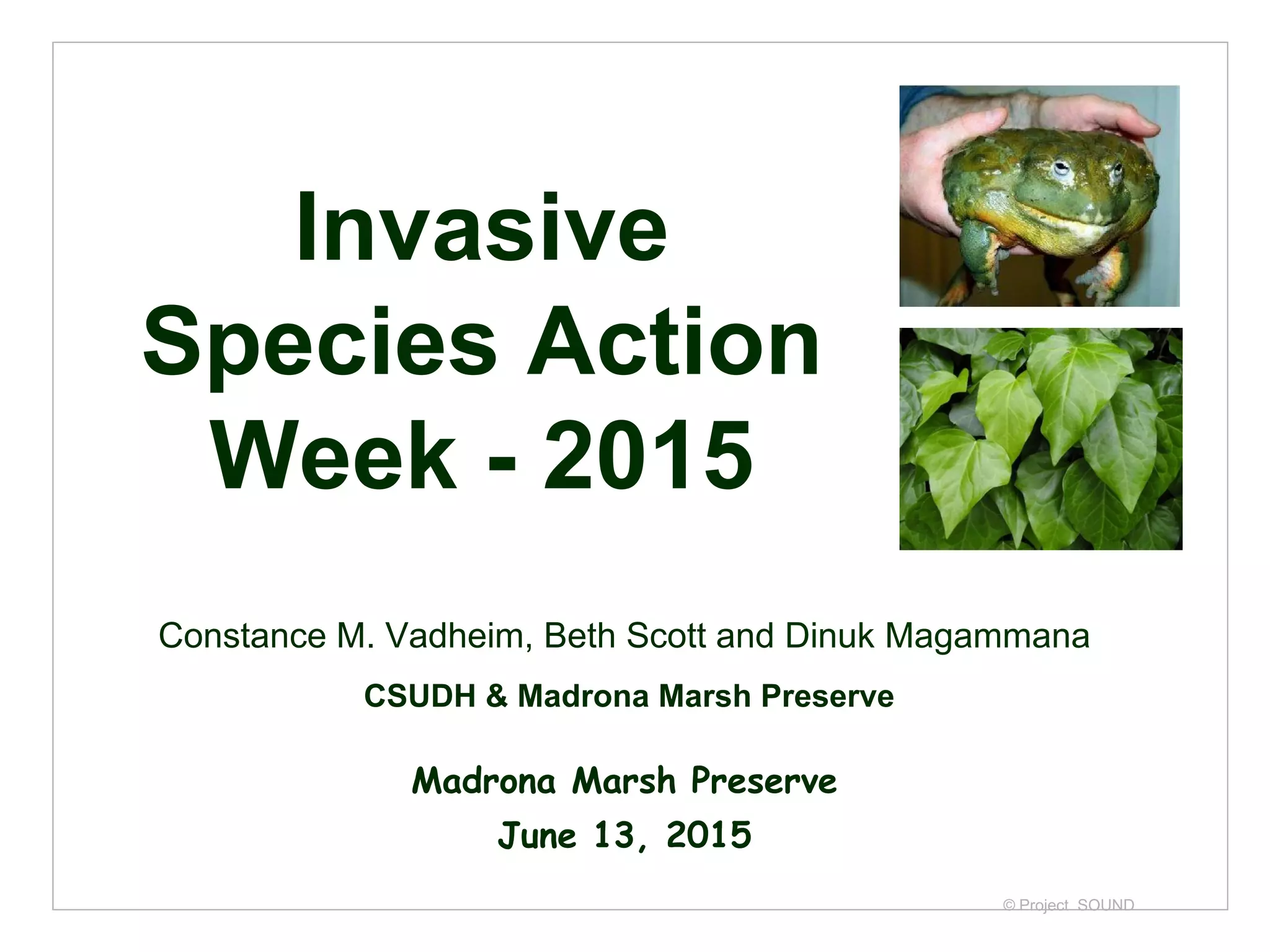 Invasive species action week | PDF