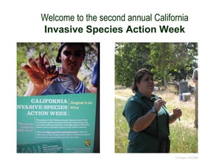 Invasive species action week | PDF