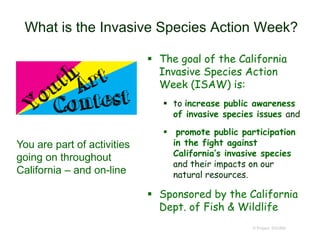 Invasive species action week | PDF