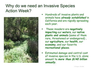 Invasive species action week | PDF