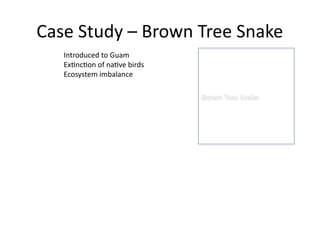 Invasive_Species_Biodiversity_With_Images.pptx
